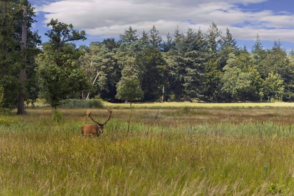 Een wilde blik op de natuur - Natuurcollege